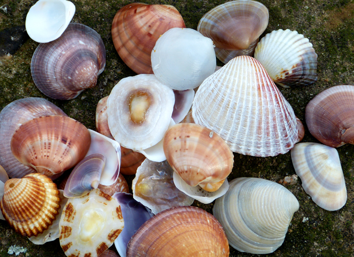 Sardinien, Teil 2 – Sardinia, Part 2 – creatologyblog