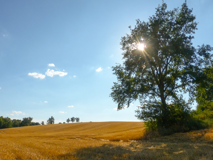 Ein Spaziergang auf dem Land – A Walk in the Countryside – creatologyblog